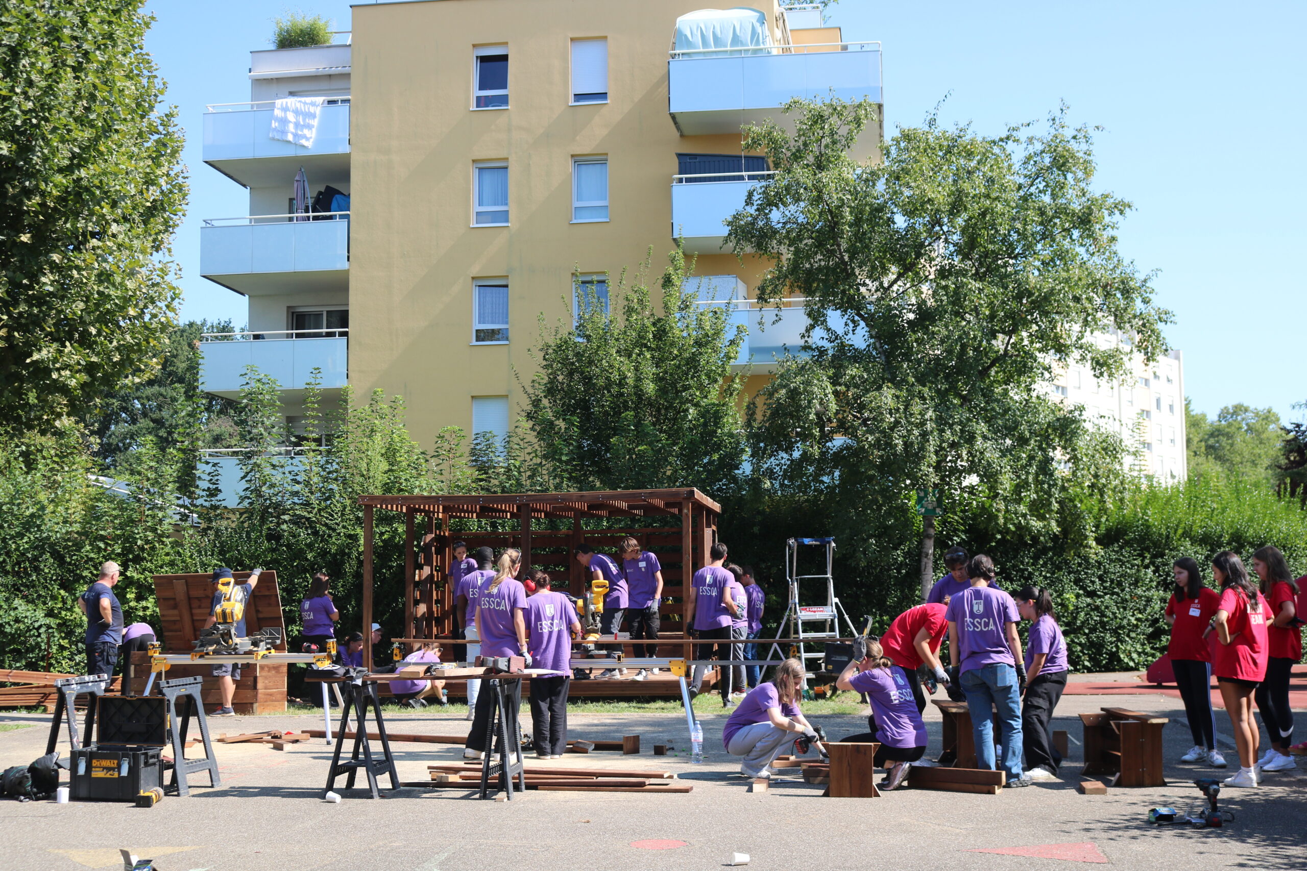 Splash Project, un projet qui rassemble ! - Arsea